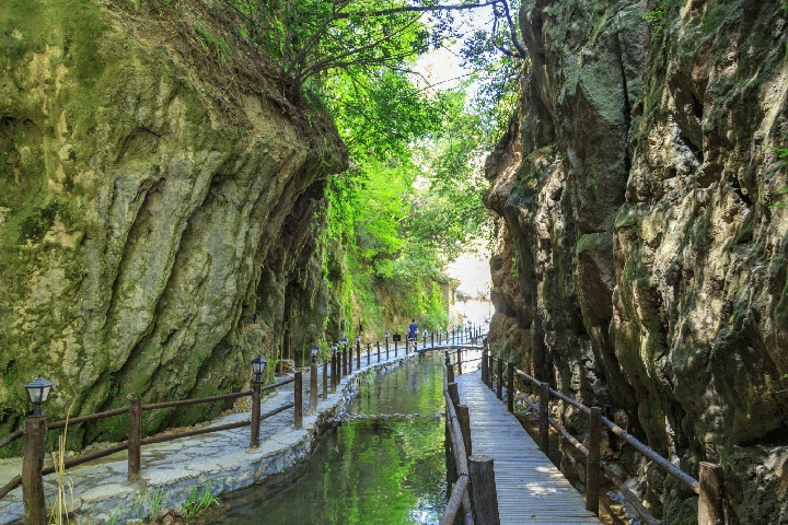 Where is Damla Creek? How to go?